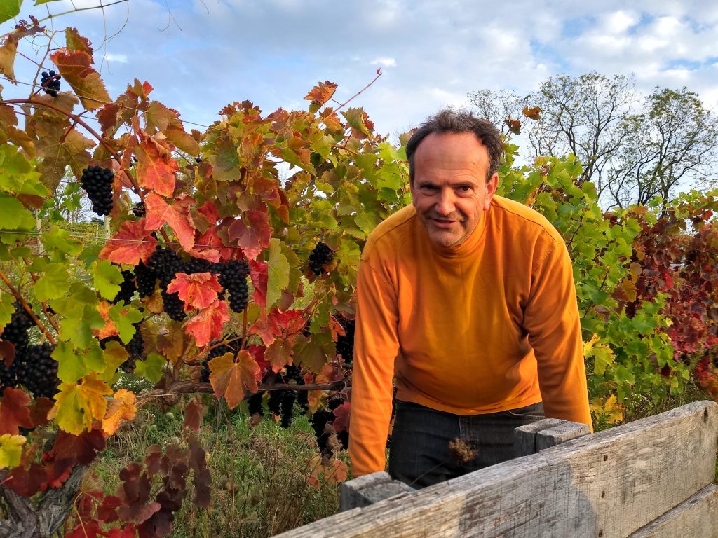 Getting to Know Tony Damiani